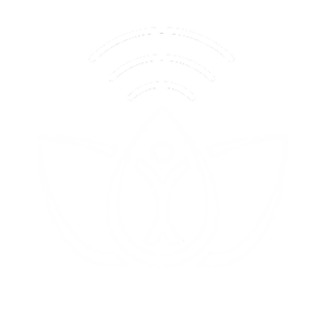 Activity Feed - Trinity Connect